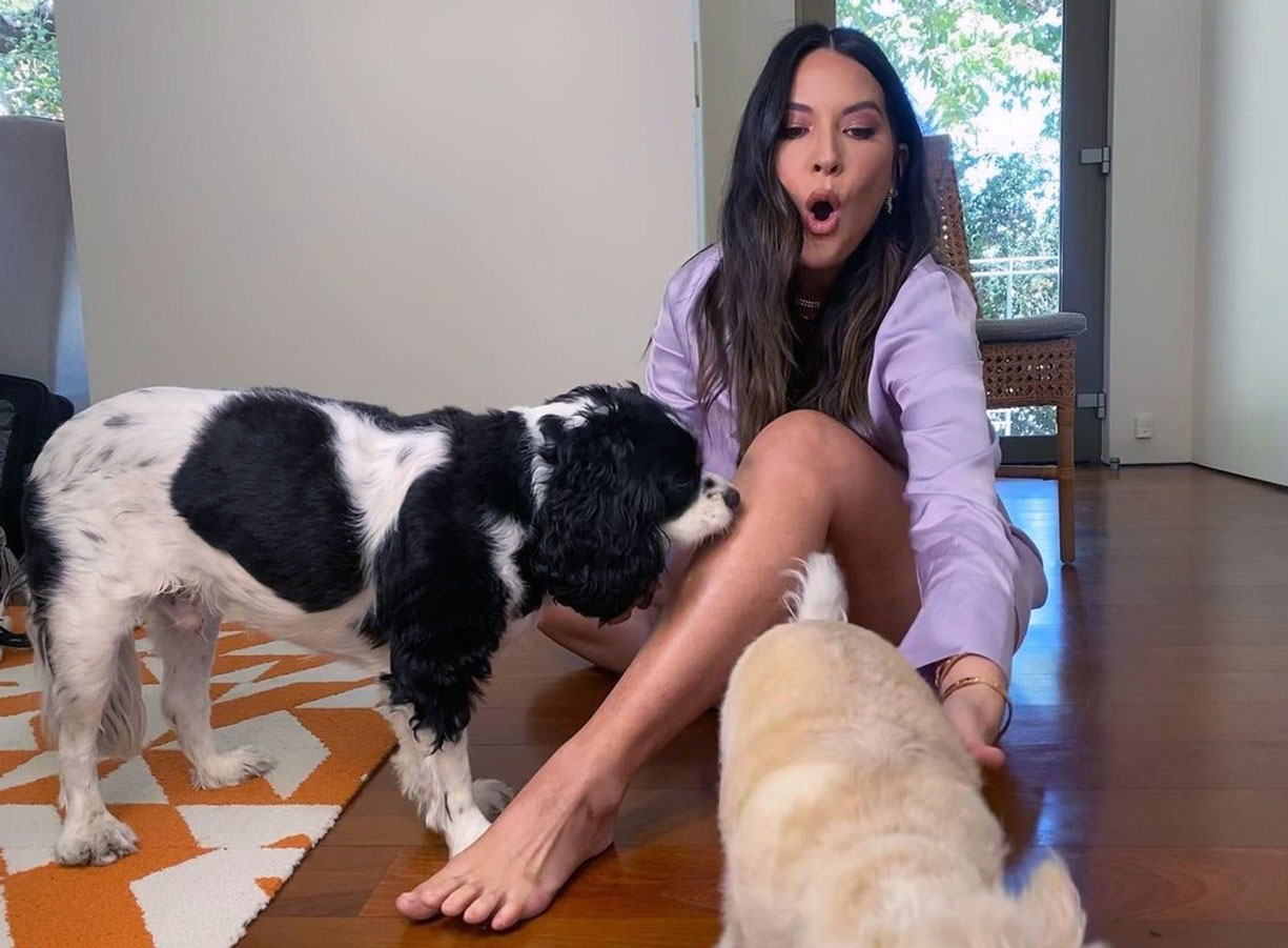 Olivia Munn Nude In Leaked Porn And Sex Scenes Scandal Planet