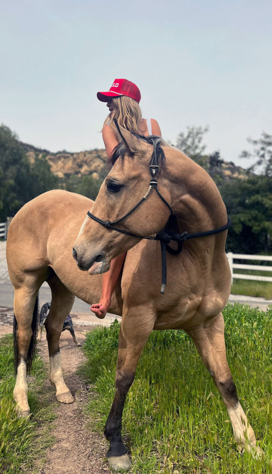 Hassie Harrison Nude Pics And Porn 2023 Leak Scandal Planet